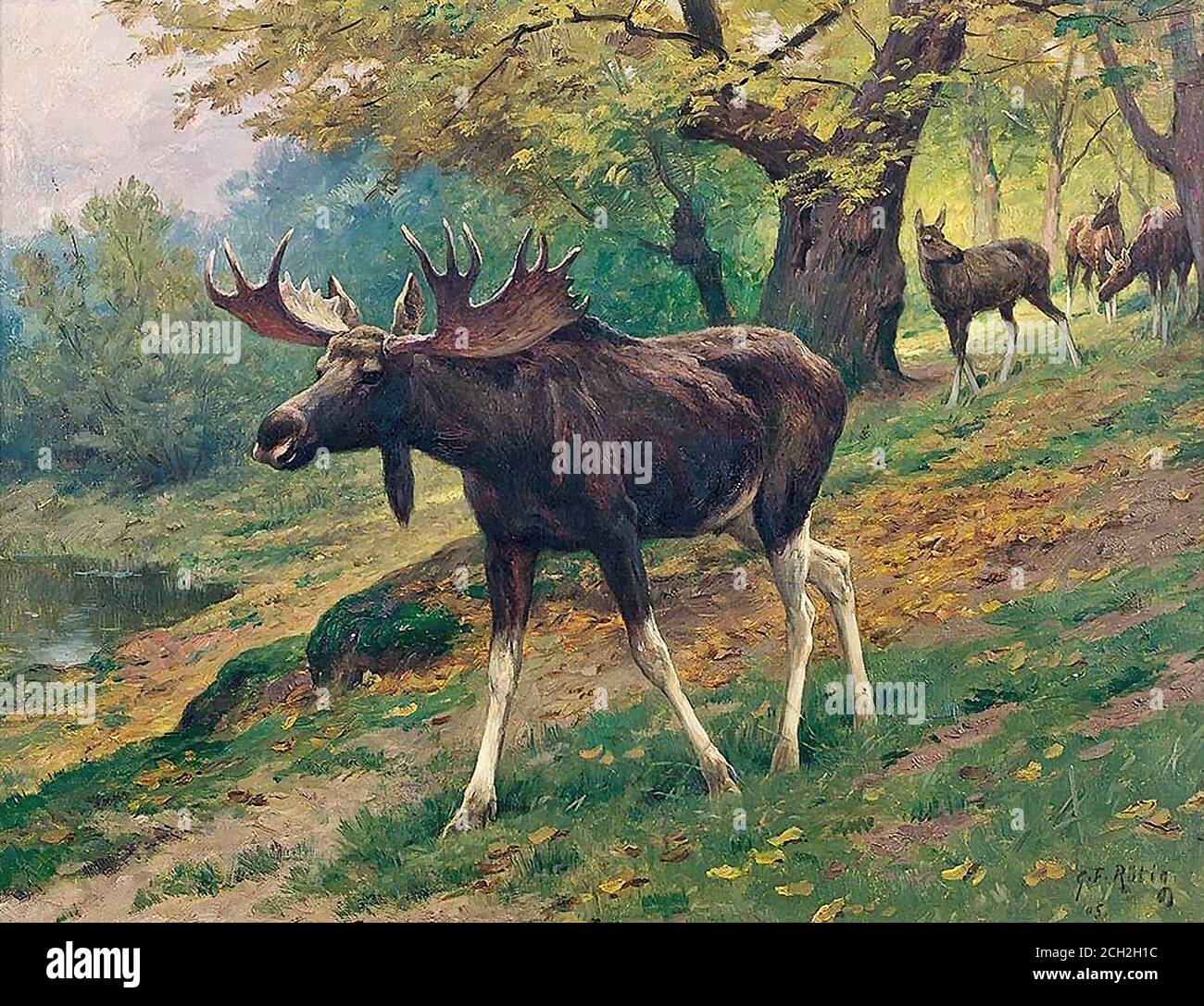 Rotig Georges FréDéric - Moose in the Forest - French School - 19th and ...