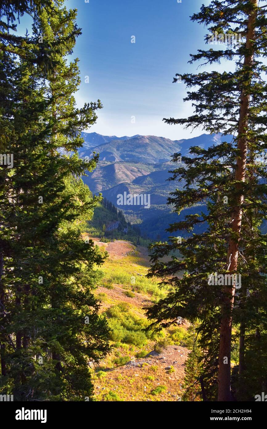 Timpanogos hiking trail landscape views in Uinta Wasatch Cache National ...