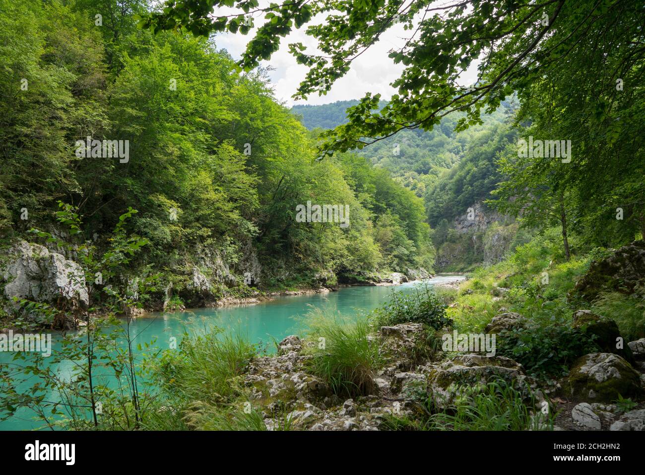 Mountain river Tara, Montenegro, natural landscape Stock Photo - Alamy