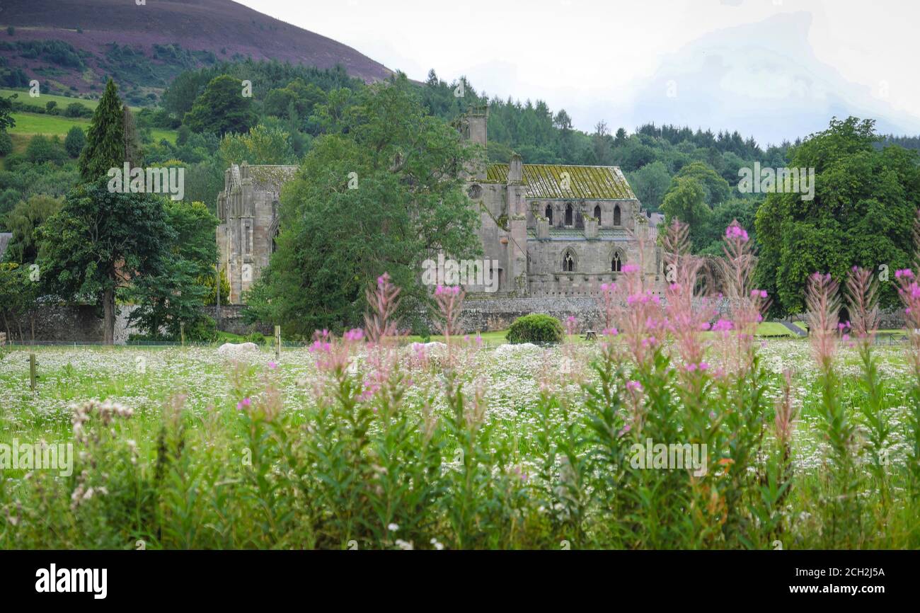 summer in scotland Stock Photo - Alamy