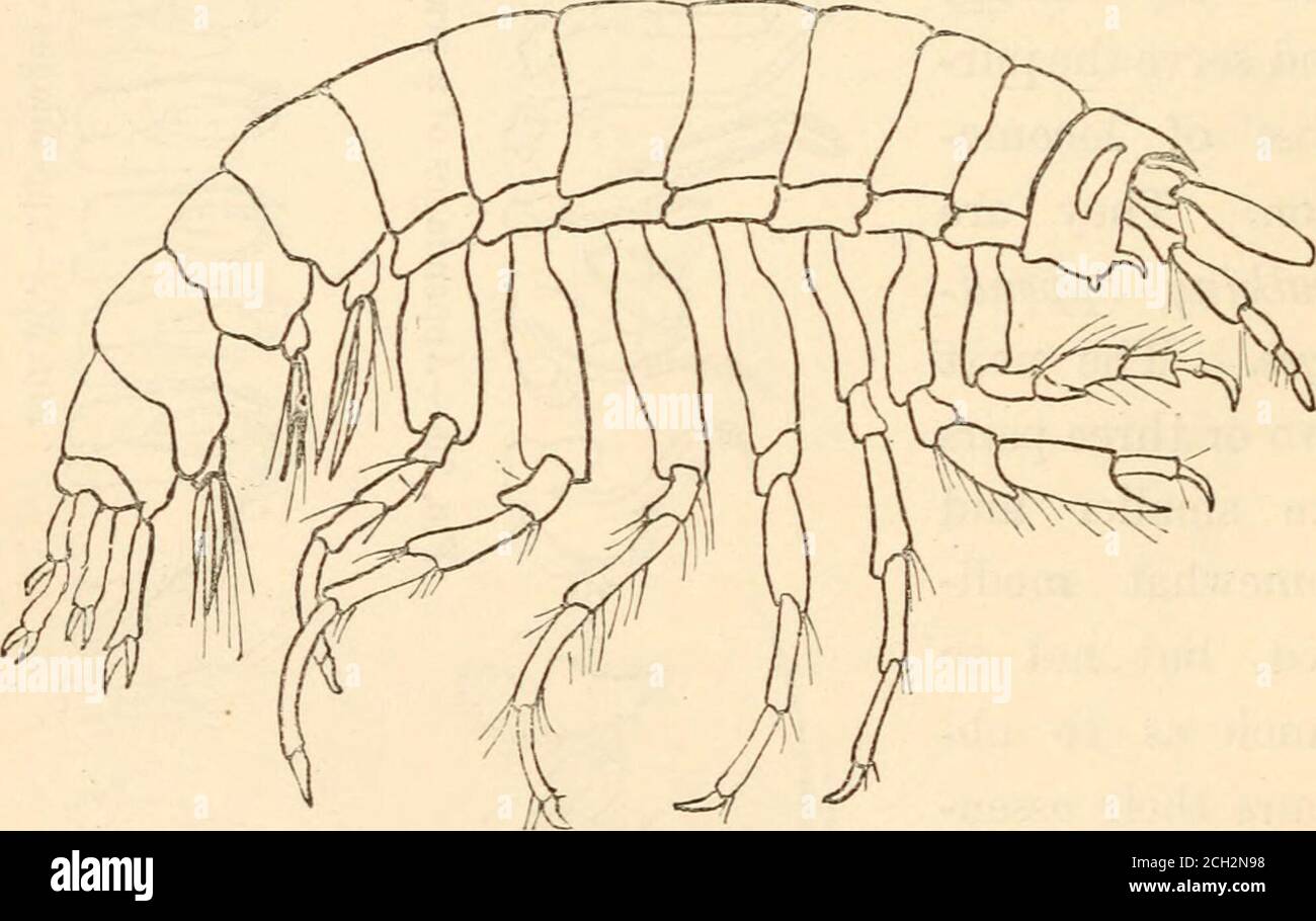 . Evolution and its relation to religious thought . 120 EVIDENCES OF ...