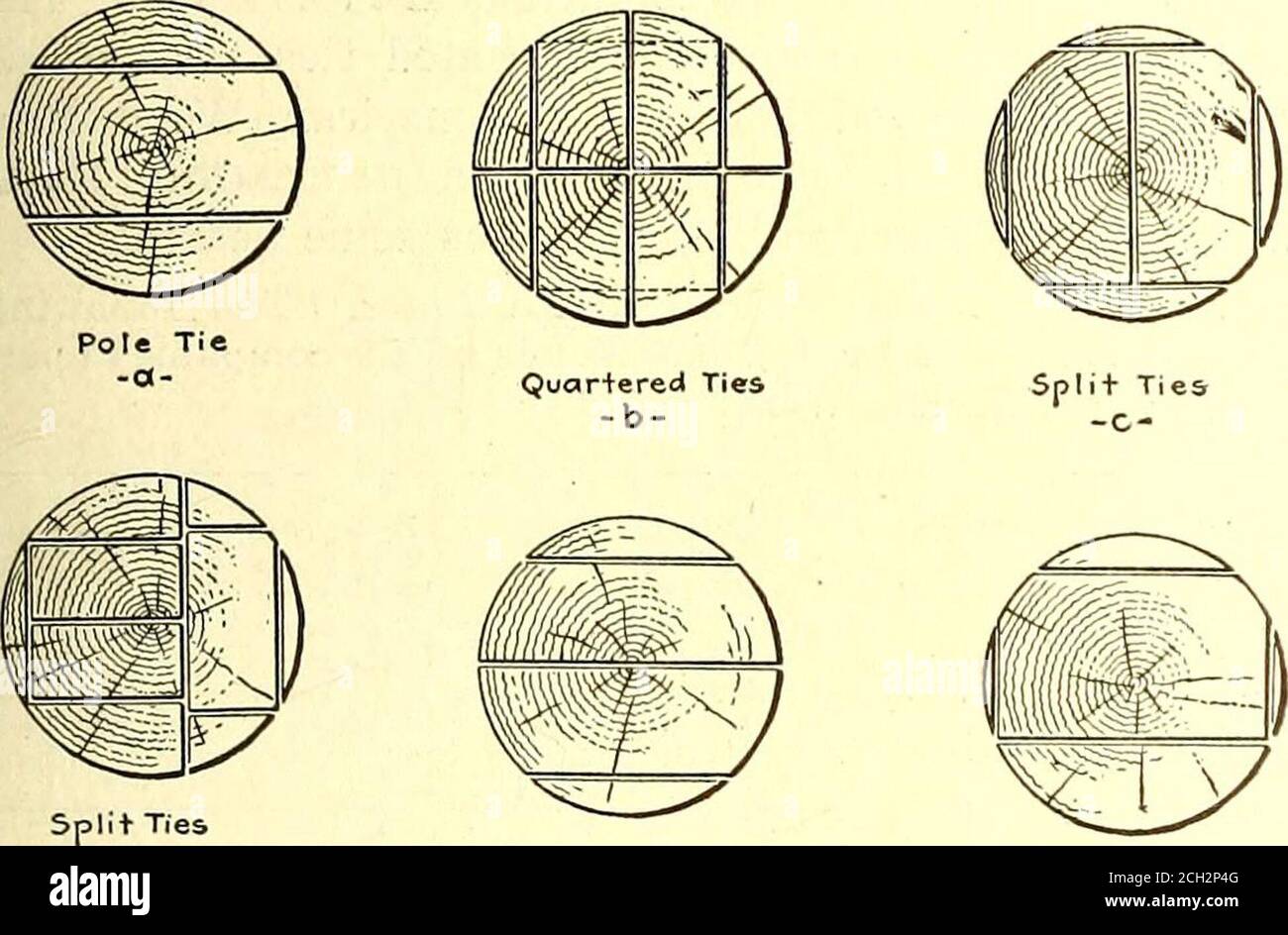 Tree spiking hi-res stock photography and images - Alamy