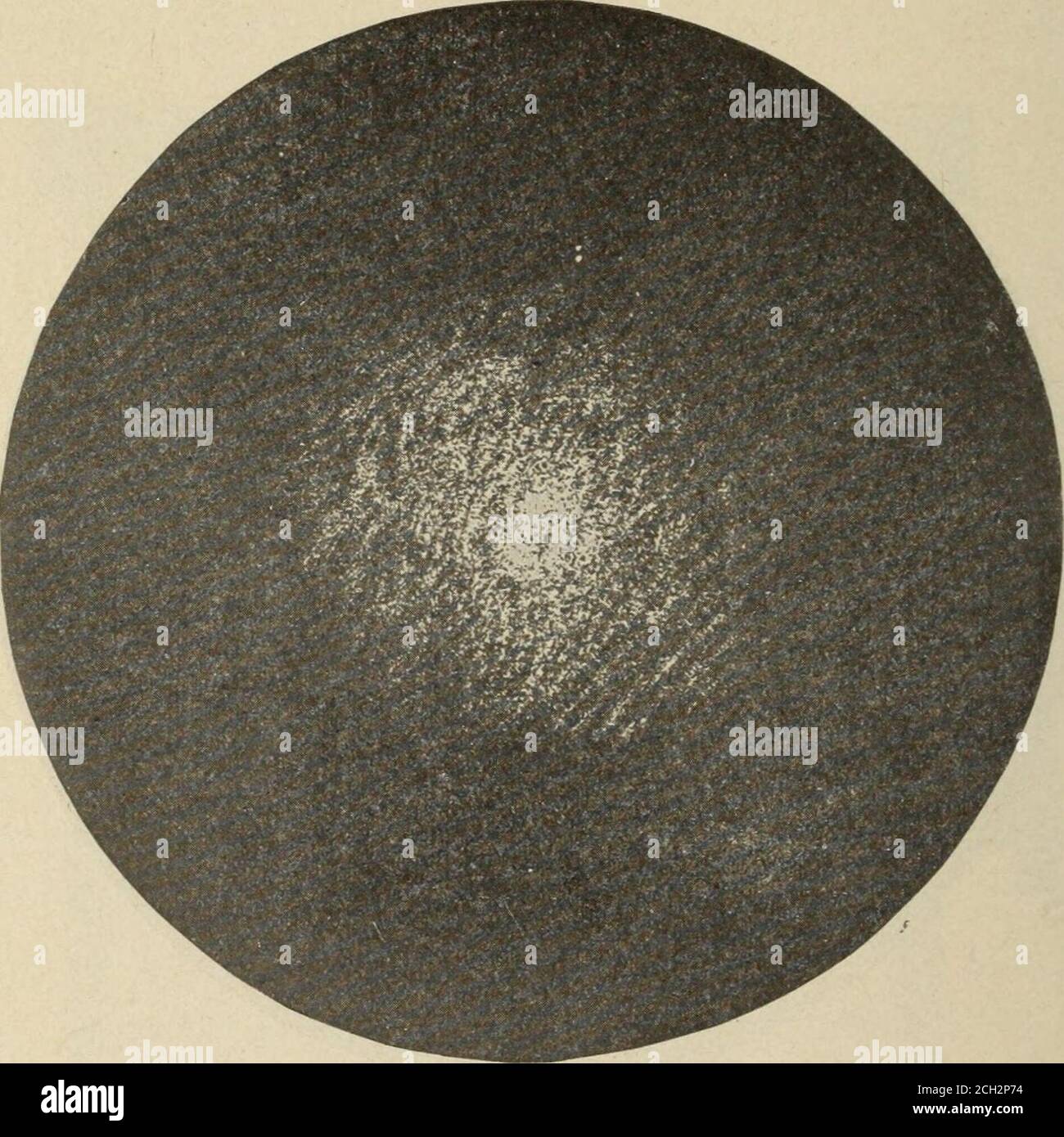 . The Hahnemannian monthly . he scintillations in the spinthariscope is ...