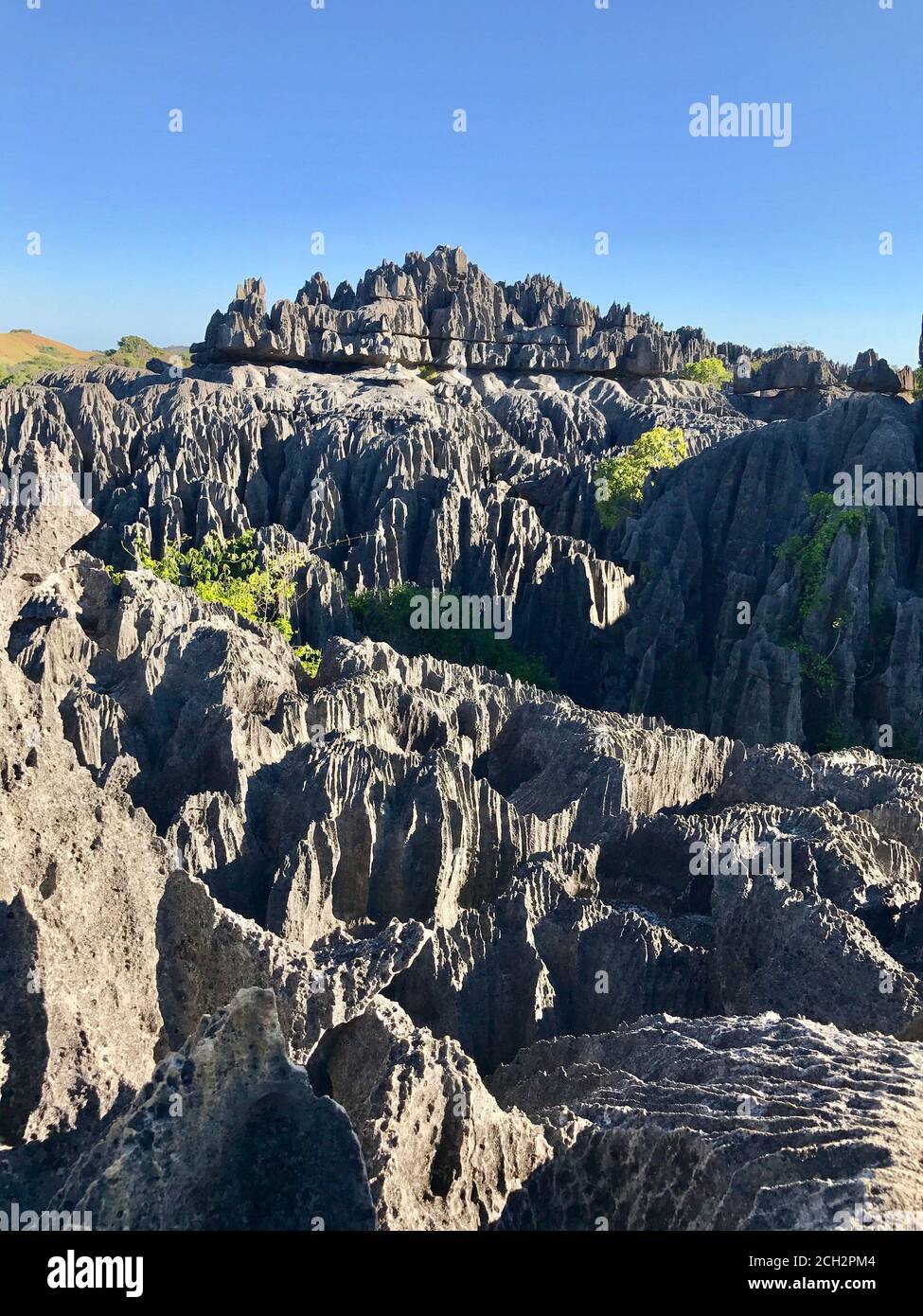 Tsingy de Bemaraha is geological natural wonder. Nature reserve Tsingy ...