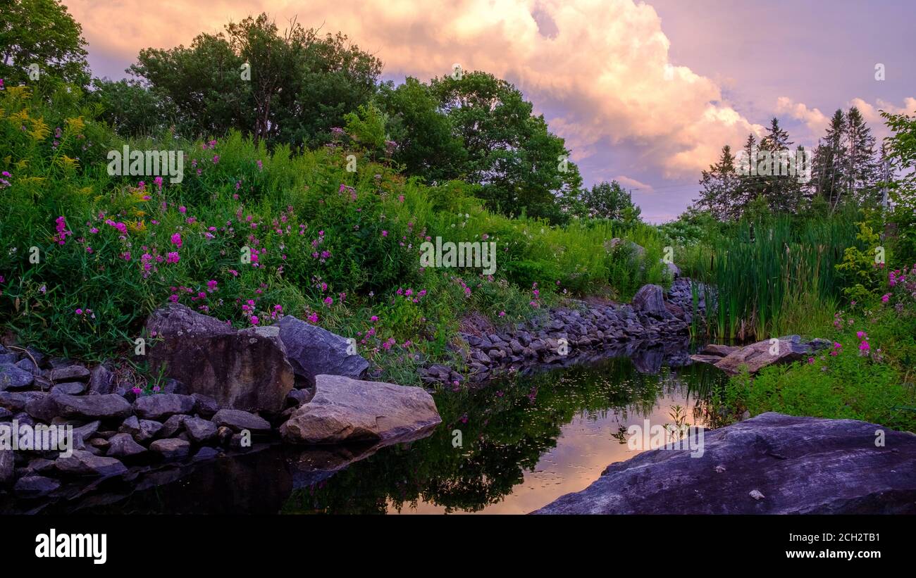 Sky and sunset reflecting in a small stream Stock Photo - Alamy