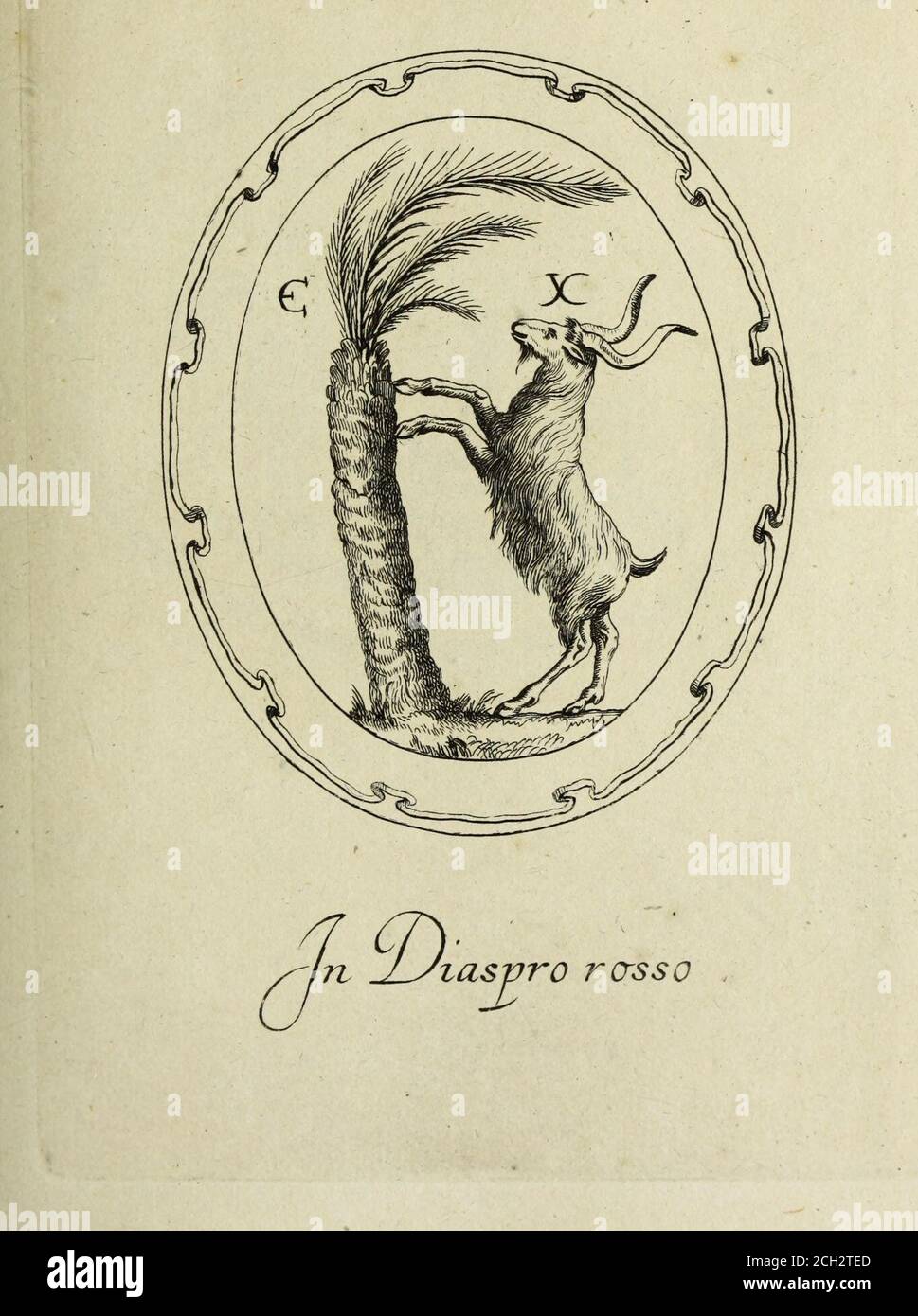 . Gemmae et sculpturae antiquae . CAPRA.DI.E GITTO Stock Photo - Alamy