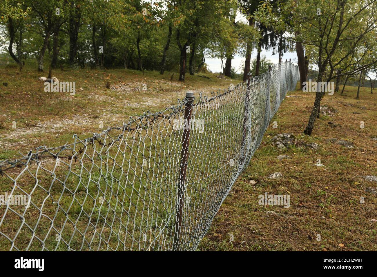 Steel wire mesh fence in the garden Stock Photo - Alamy