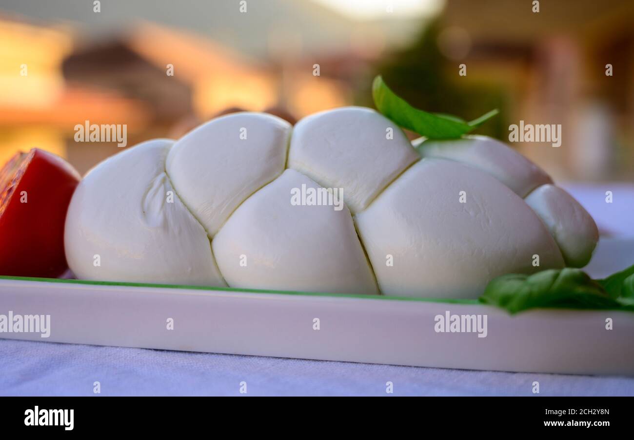 Fresh soft white italian cheese braid mozzarella buffalo made from ...