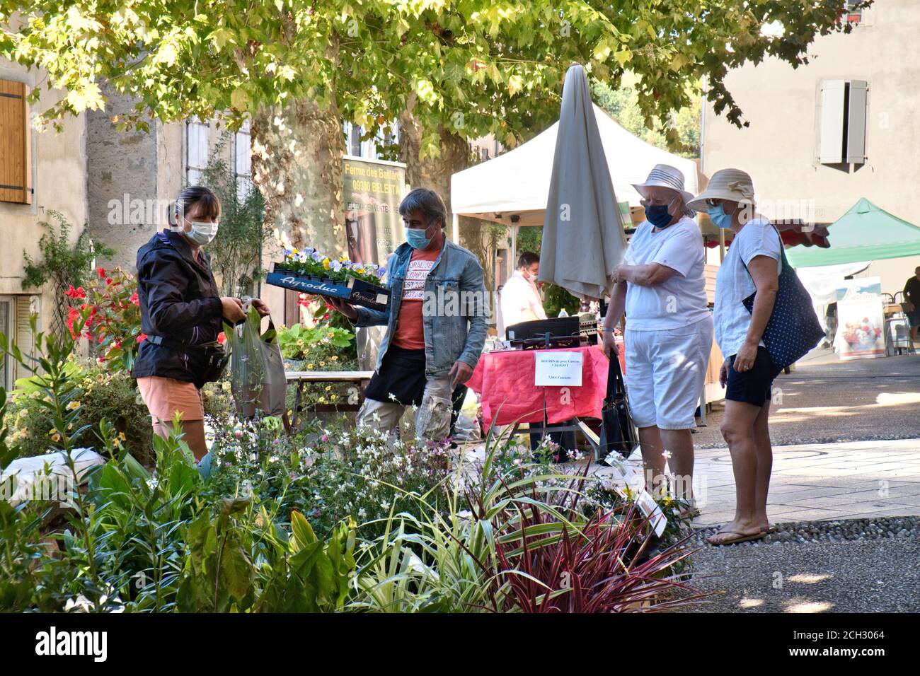Old man wearing shorts hi-res stock photography and images - Alamy