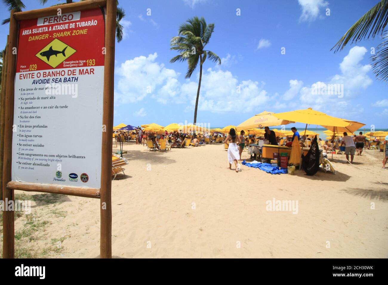 Boa viagem beach shark hi-res stock photography and images - Alamy