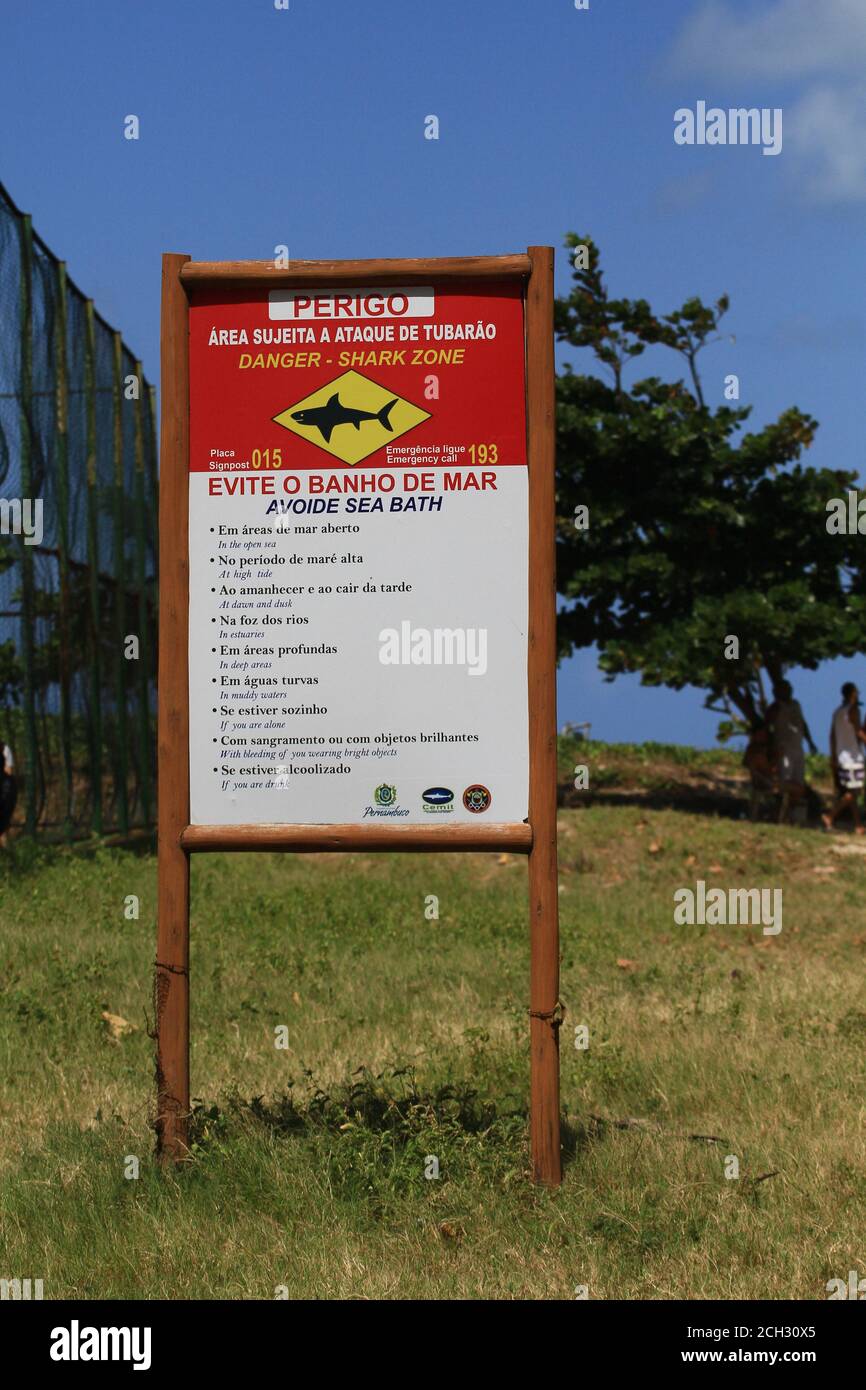 Boa viagem beach shark hi-res stock photography and images - Alamy