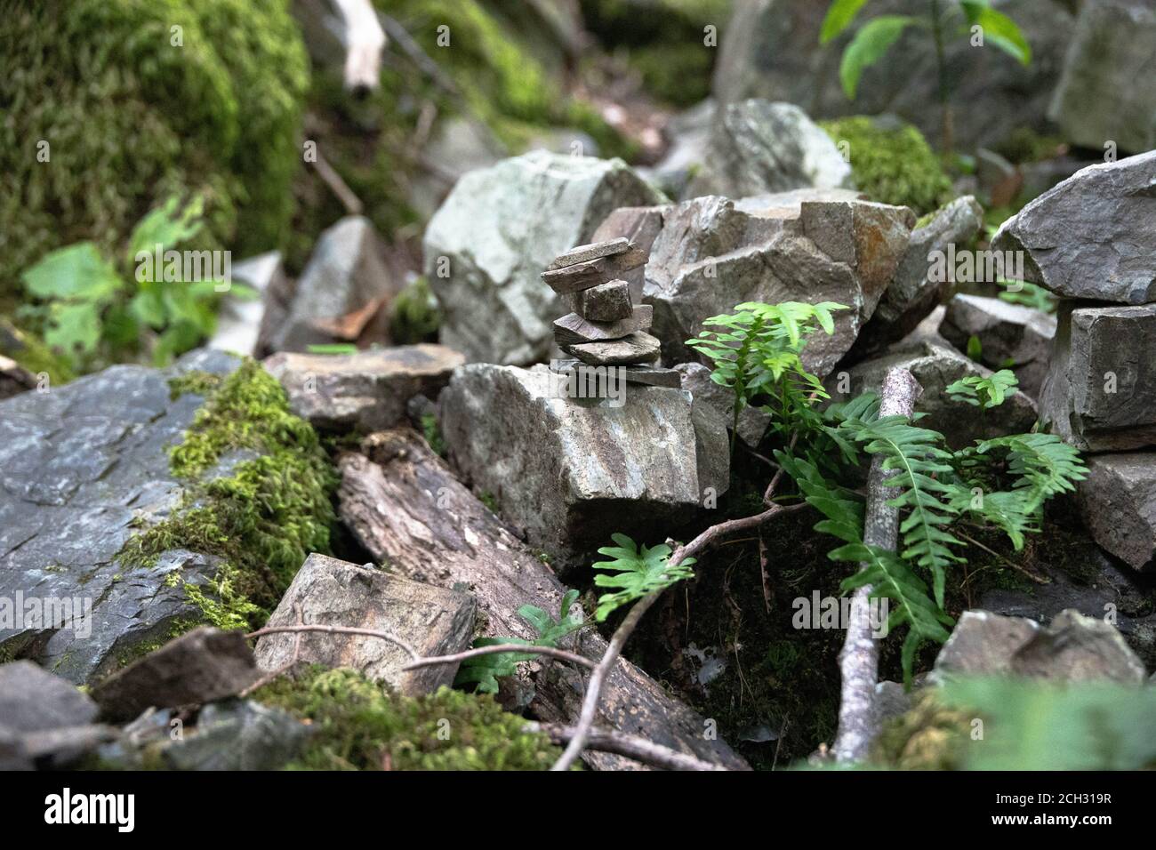 A stack of stones stands on top of each other. Mysterious ritual ...
