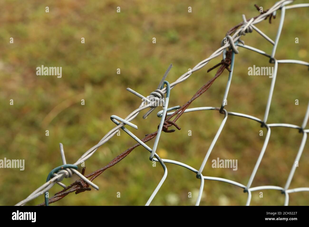 Steel wire mesh fence in the garden Stock Photo - Alamy