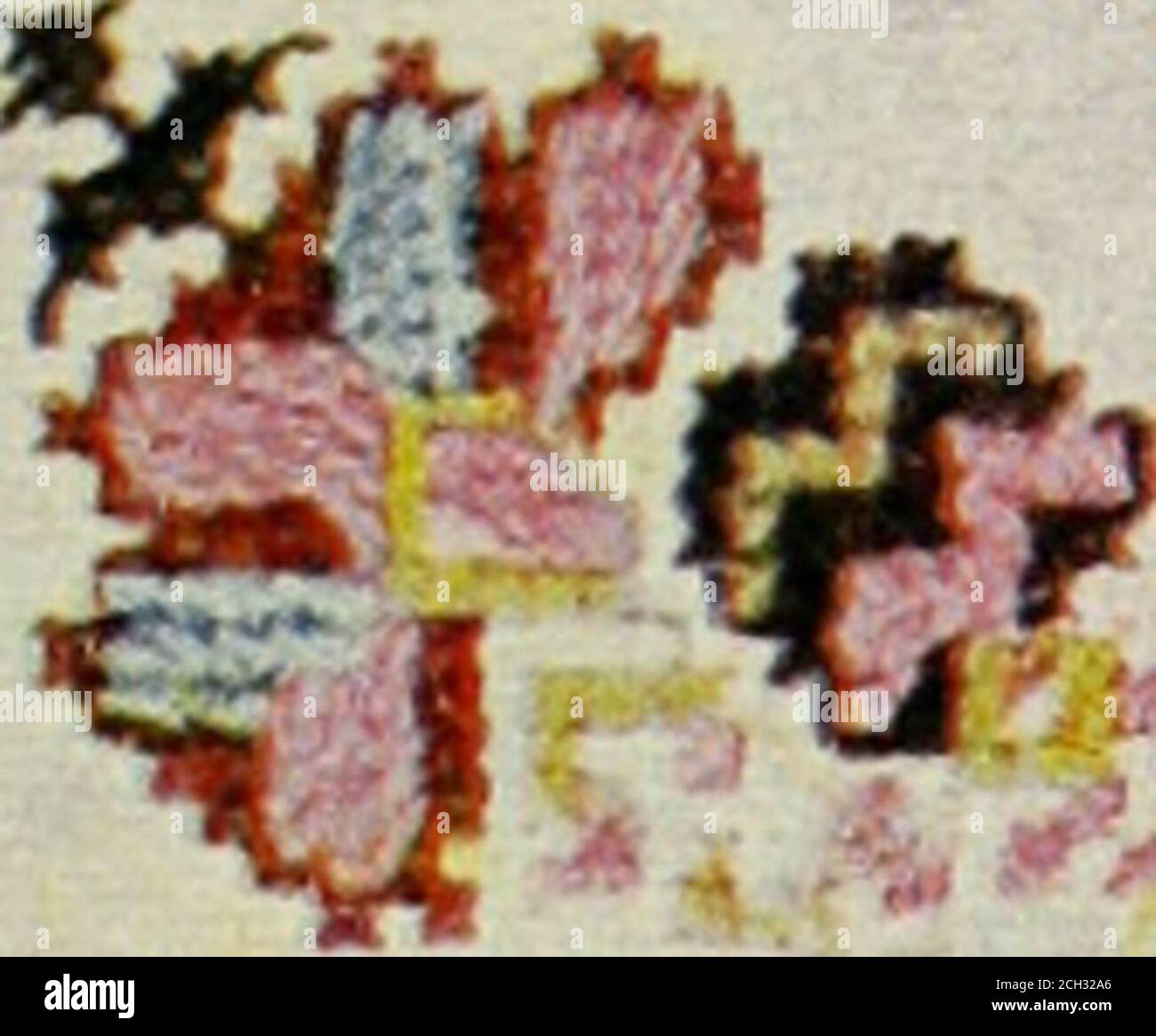 Shevitsi hi-res stock photography and images - Alamy