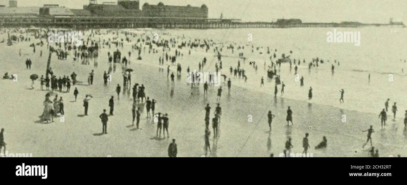 . Book of the Royal blue . THE BATHINO BEACH BETWEEN KENTUCKY, Nf esort ...