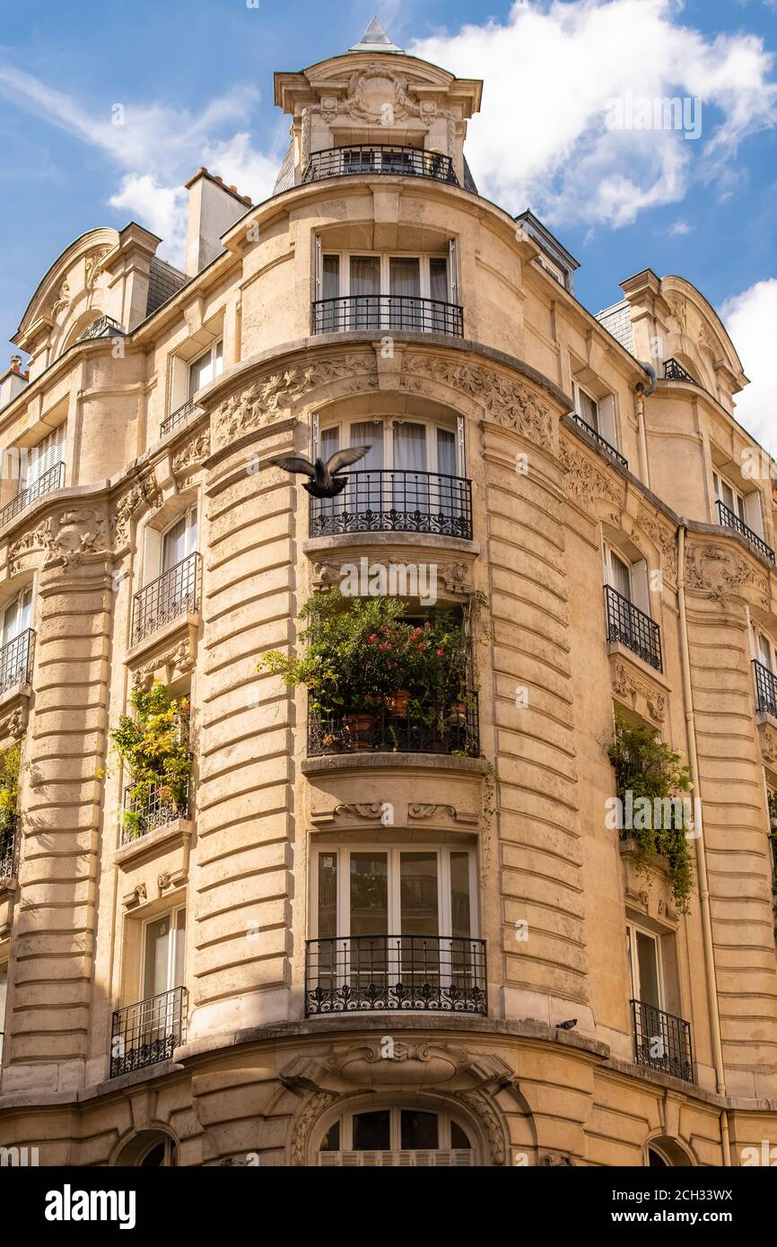 Paris, beautiful building, typical parisian facade Stock Photo - Alamy