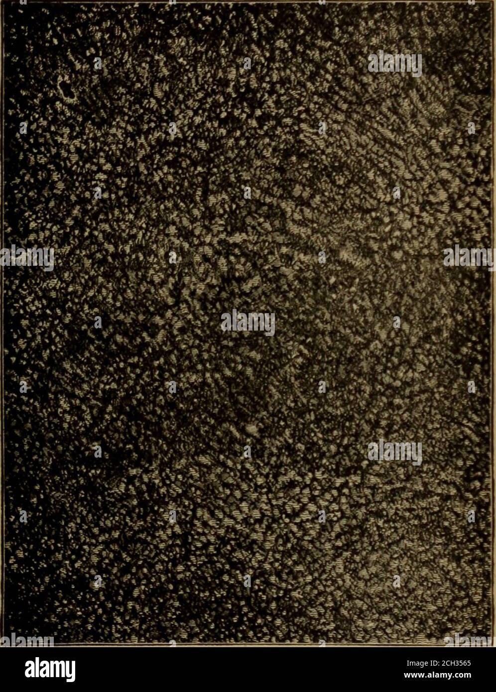 Diminished graphic hi-res stock photography and images - Alamy