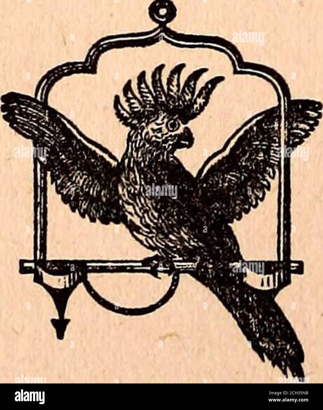 Apoplectic fits hi-res stock photography and images - Alamy