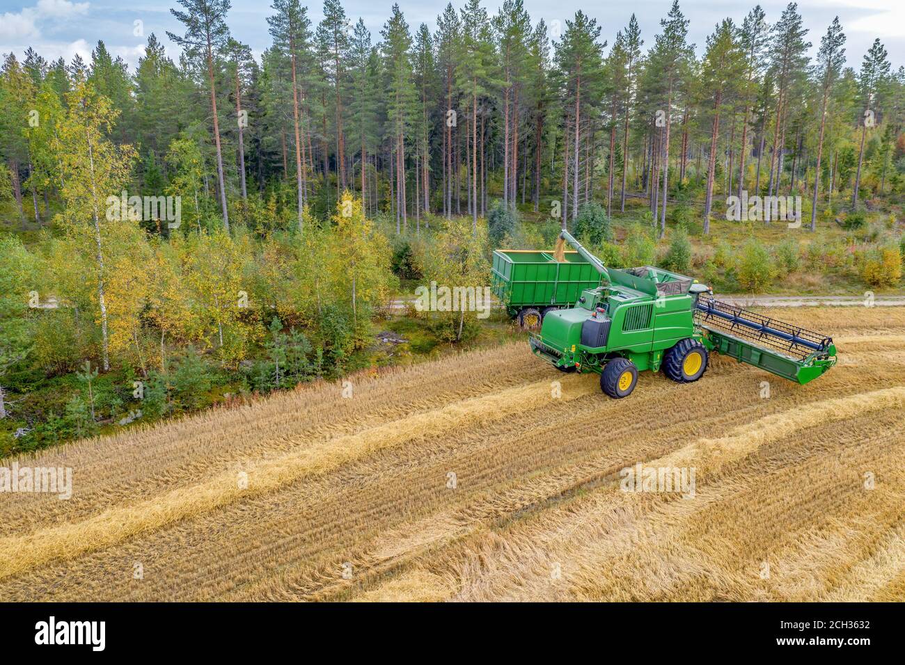 Aerial drone shot of combine harvester in action on small wheat field ...
