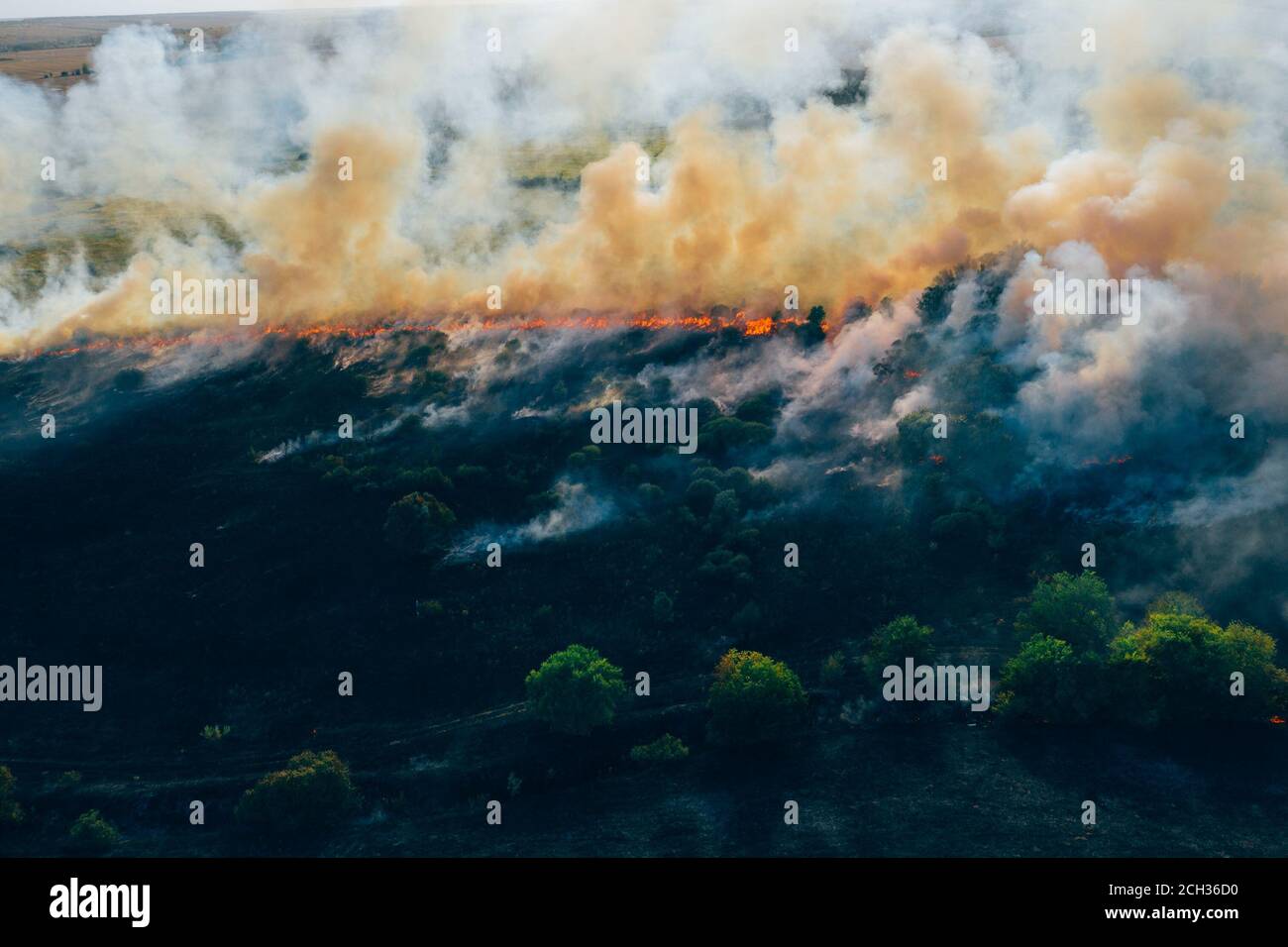 Aerial view smoke clouds of wild fire. Fire in forest spreads, natural ...