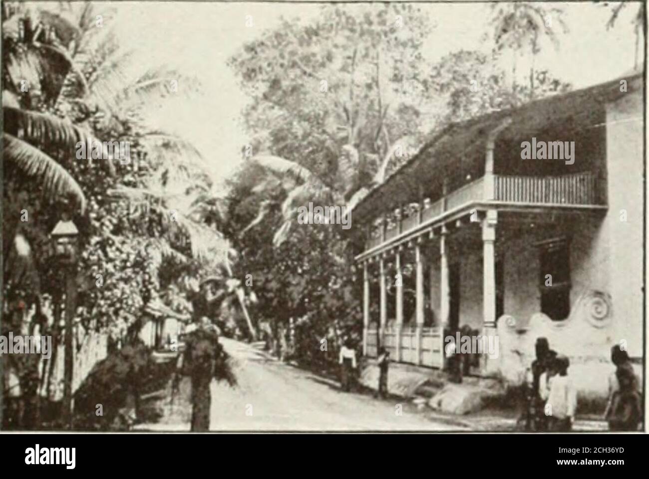 . The book of Ceylon; being a guide to its railway system and an ...