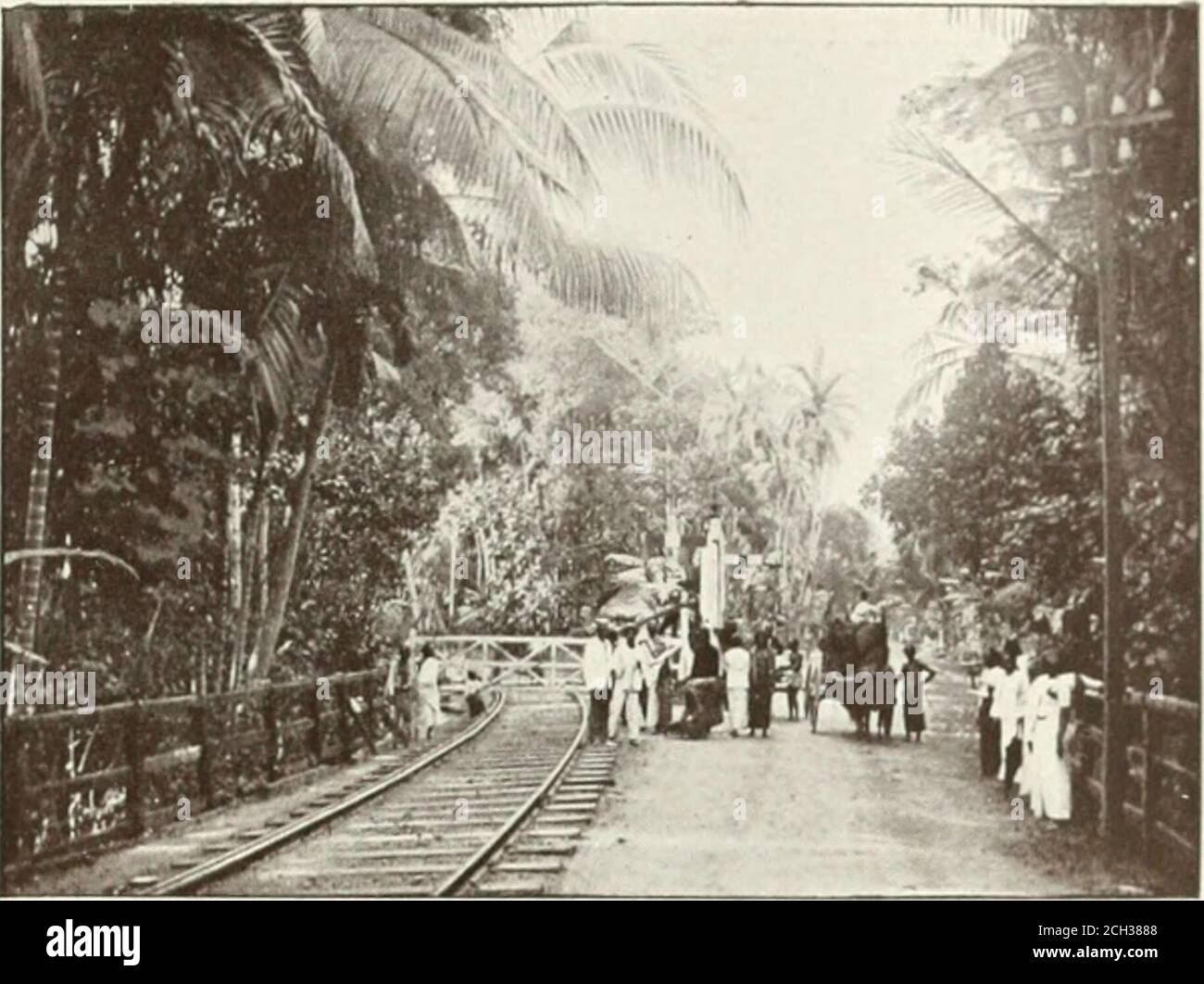 . The book of Ceylon; being a guide to its railway system and an ...