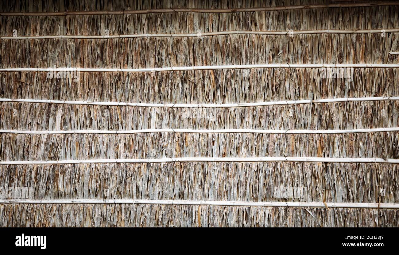 dry coconut leaf and bamboo wood texture of fence from nature ...