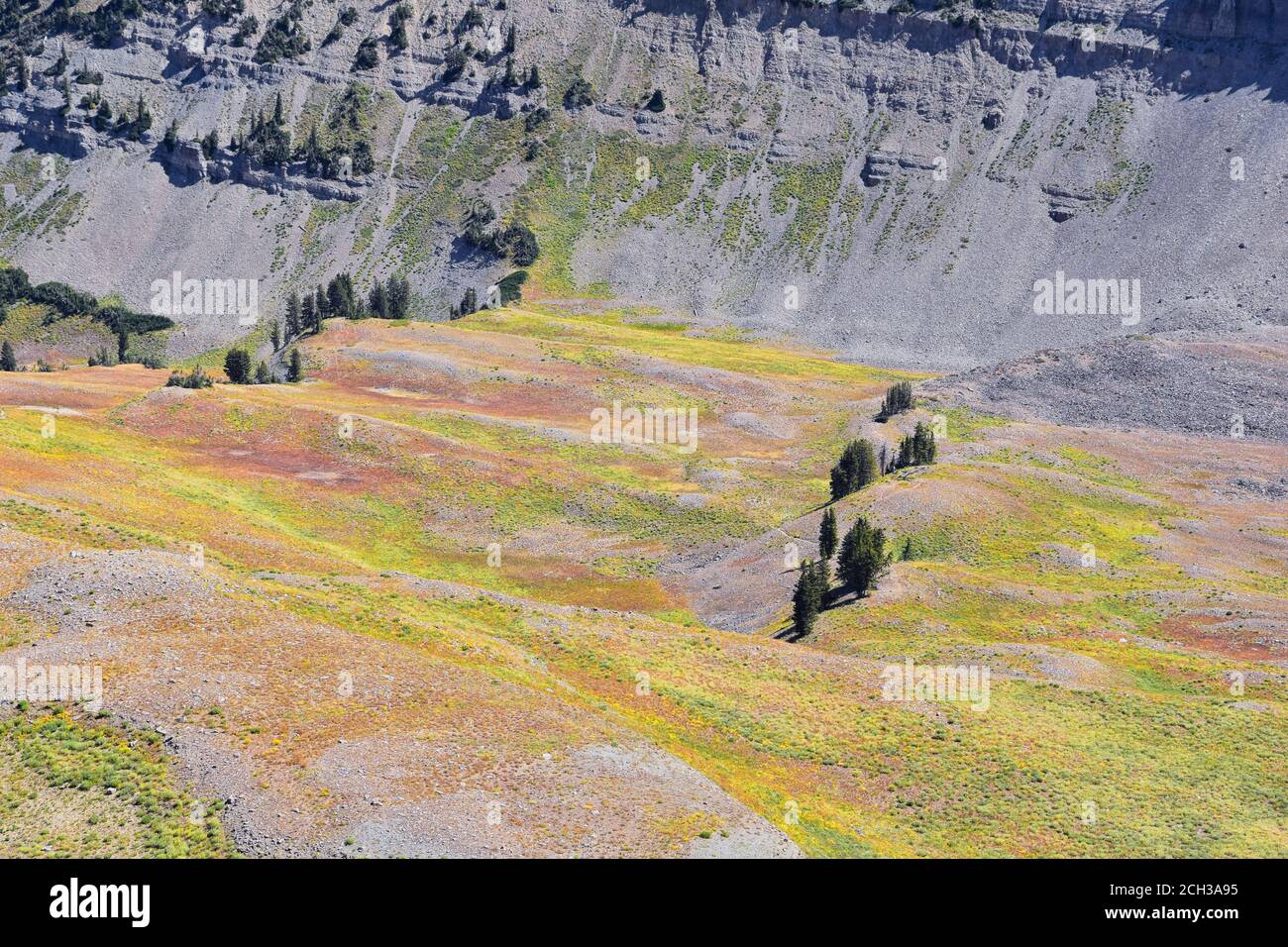 Timpanogos hiking trail landscape views in Uinta Wasatch Cache National ...