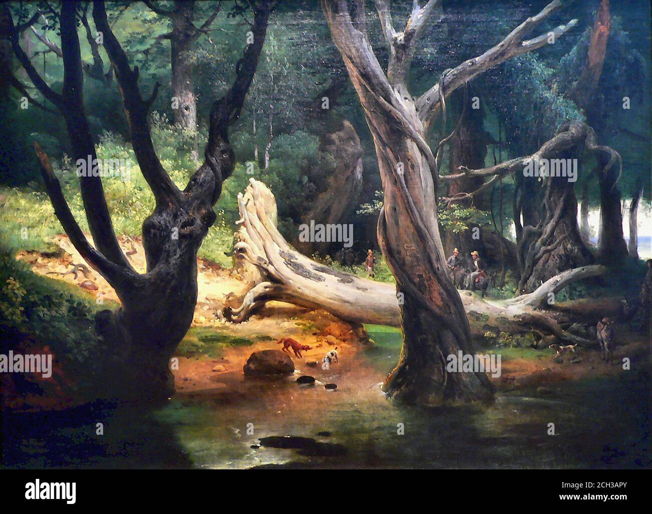 Pontine marshes 19th hi-res stock photography and images - Alamy