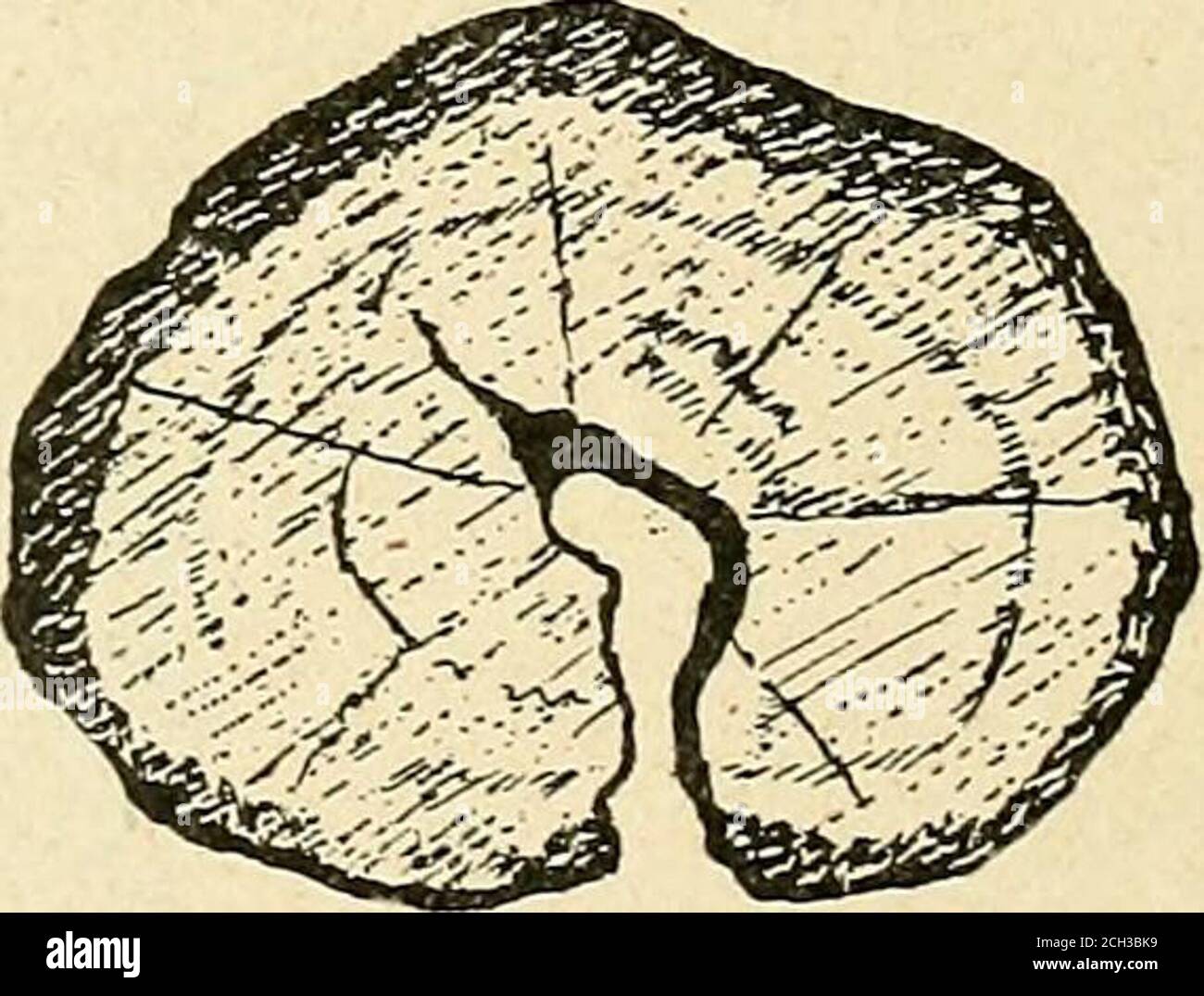 . Documentary journal of Indiana 1905 . Cross section showing work of ...