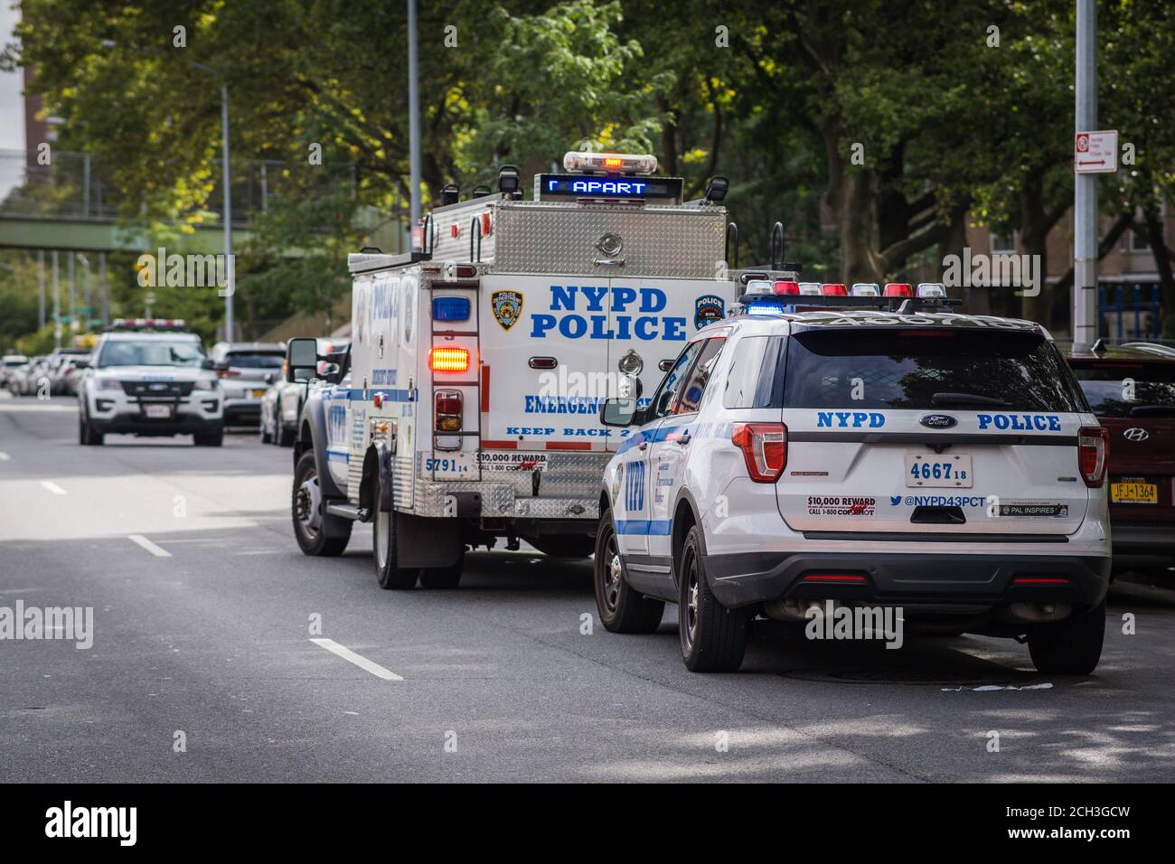 Bronx, United States. 13th Sep, 2020. Police investigate a shooting in ...