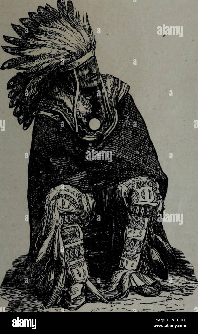 Tall bull chief hi-res stock photography and images - Alamy