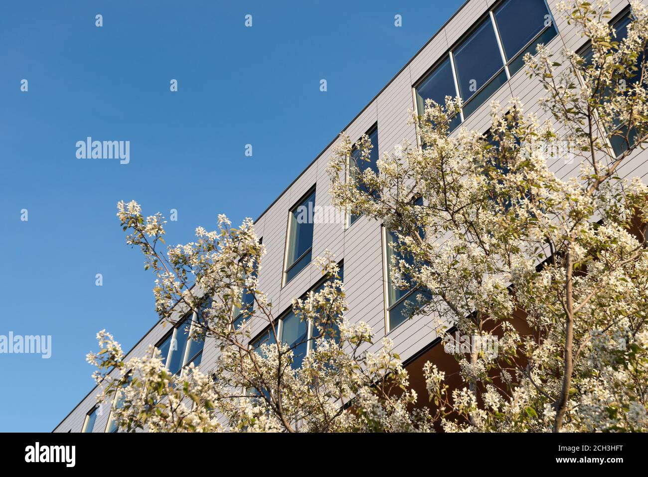 A part of the exterior facade of a generic small building Stock Photo ...
