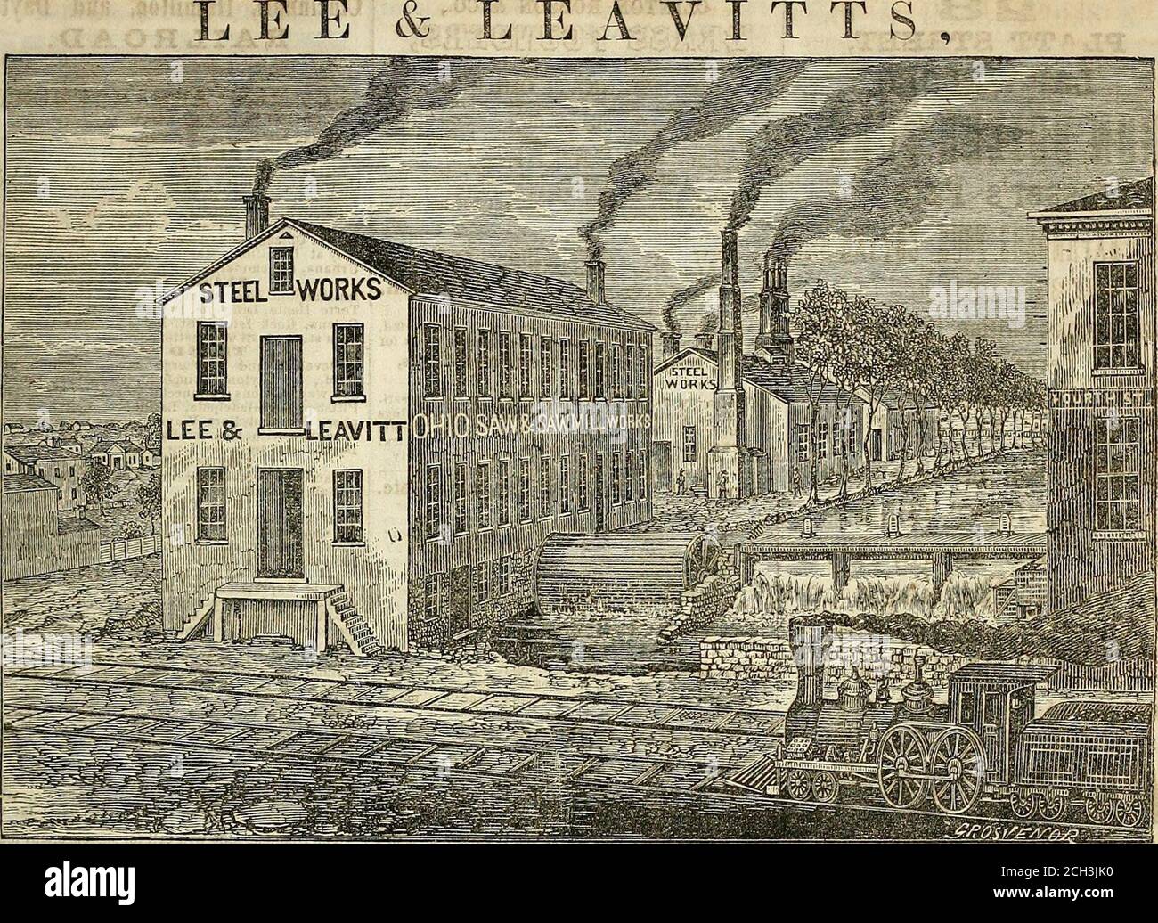 Frog points hi-res stock photography and images - Alamy