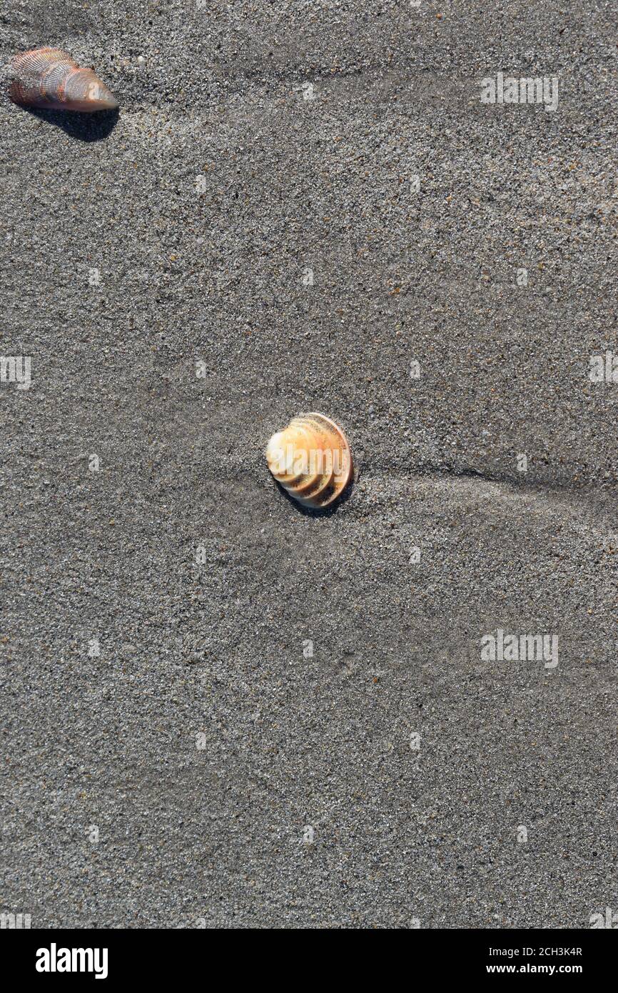 Beagle Bay Australia High Resolution Stock Photography and Images - Alamy