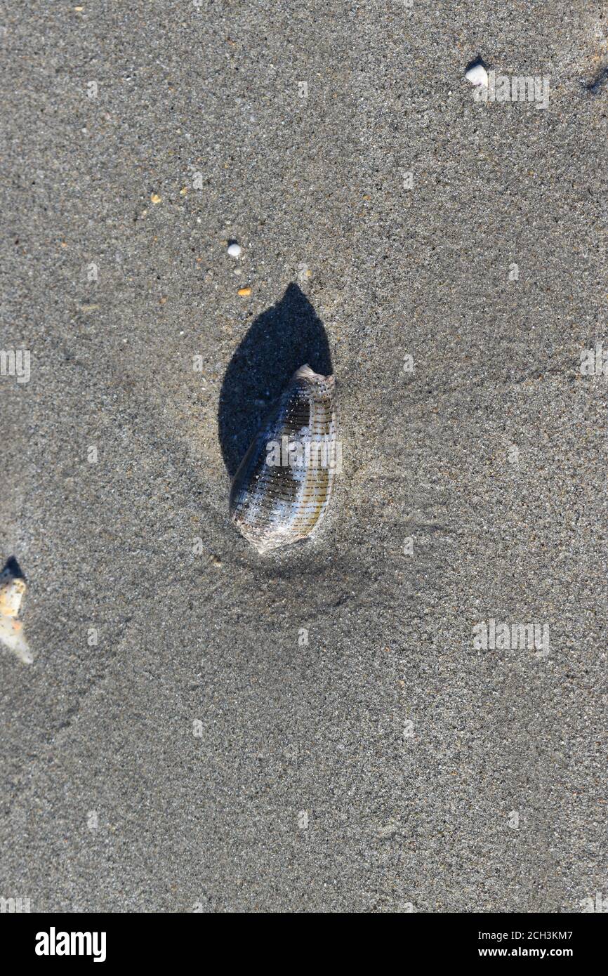 Beagle bay western australia hi-res stock photography and images - Alamy