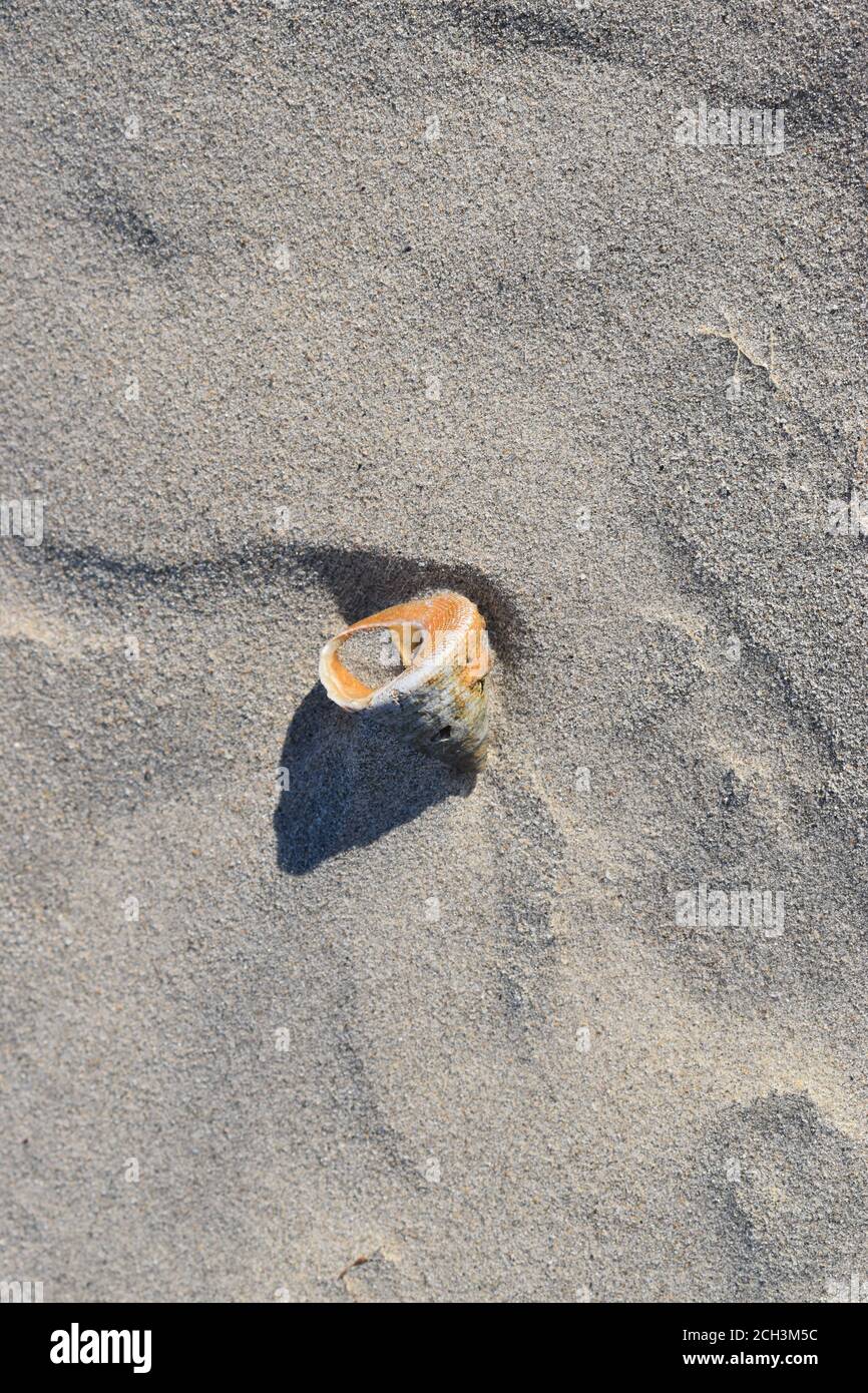 Beagle bay western australia hi-res stock photography and images - Alamy