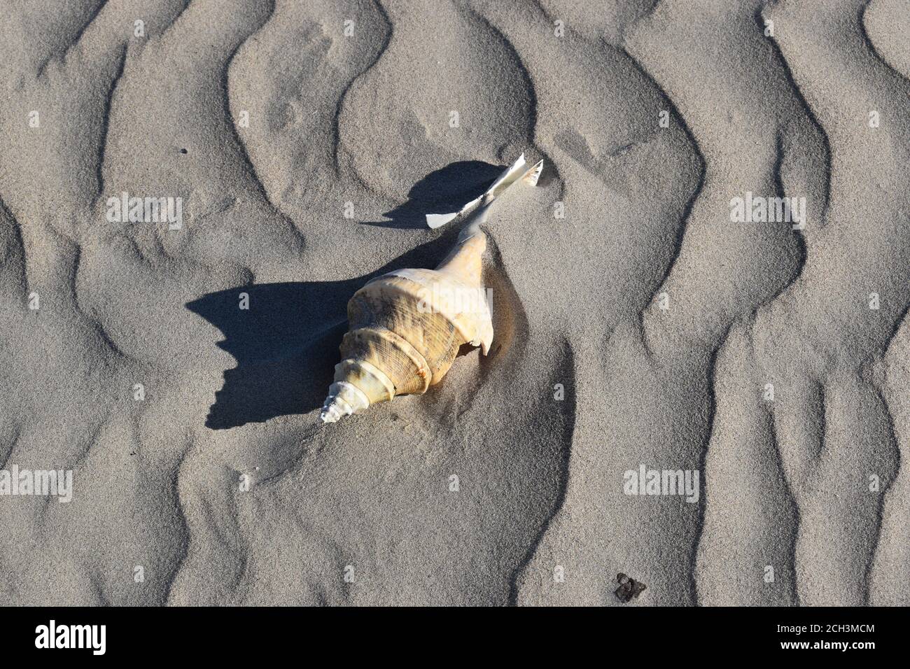 Beagle bay western australia hi-res stock photography and images - Alamy