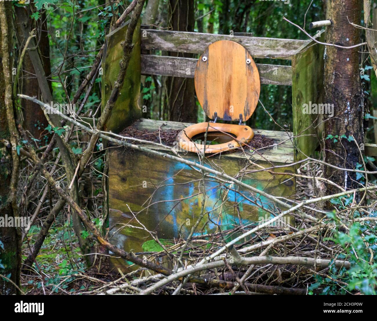 A campsite toilet deep in the woods near Puddington Stock Photo - Alamy