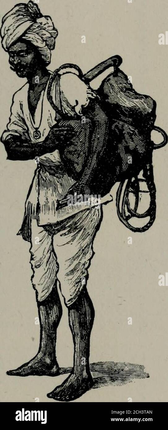 . The science of railways . A human carrier. CARRIAGE m INDIA. 181. A ...