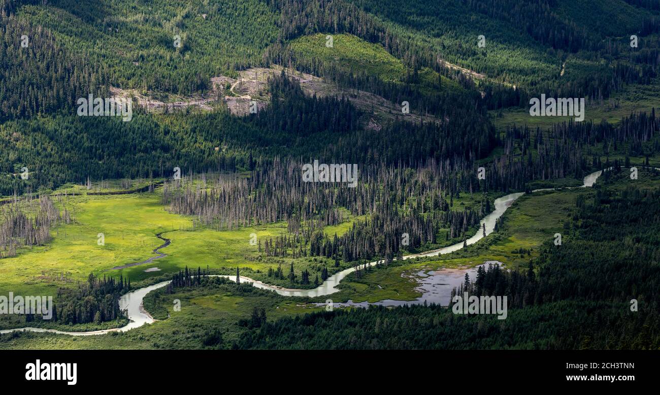River and forest near mountain slope Stock Photo - Alamy
