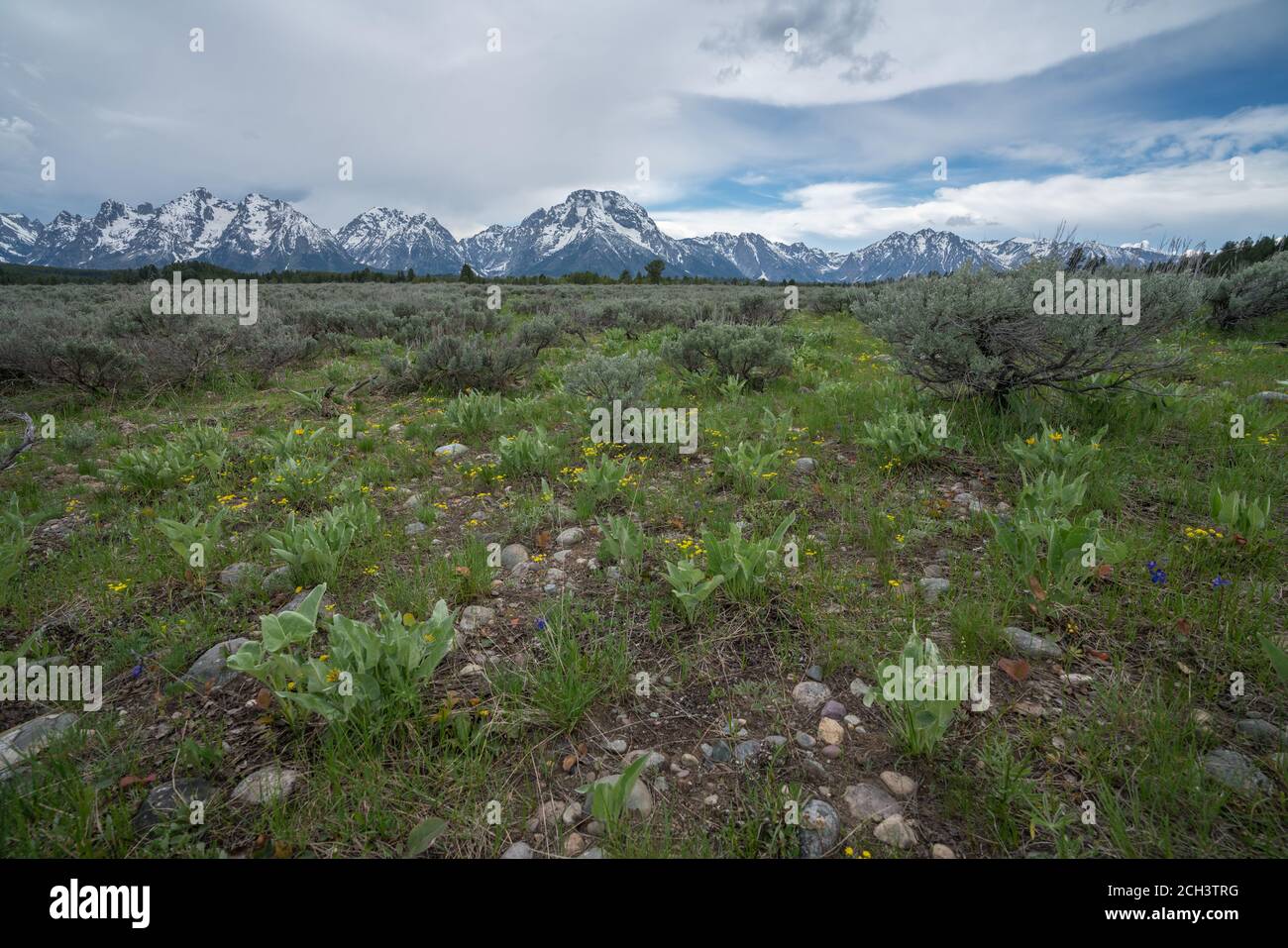 mt moran turnout, grand teton national park in wyoming in the usa Stock ...