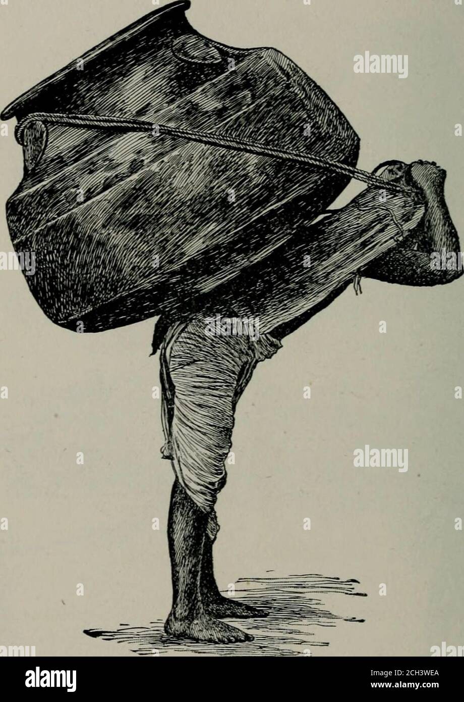 . The science of railways . 180 CARRIAGE IX IS VIA.. A human carrier ...