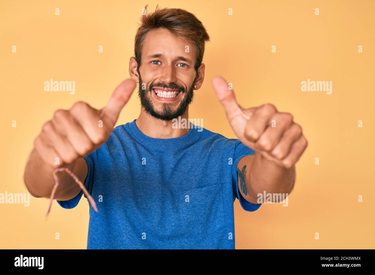 Handsome caucasian man with beard wearing casual clothes approving ...
