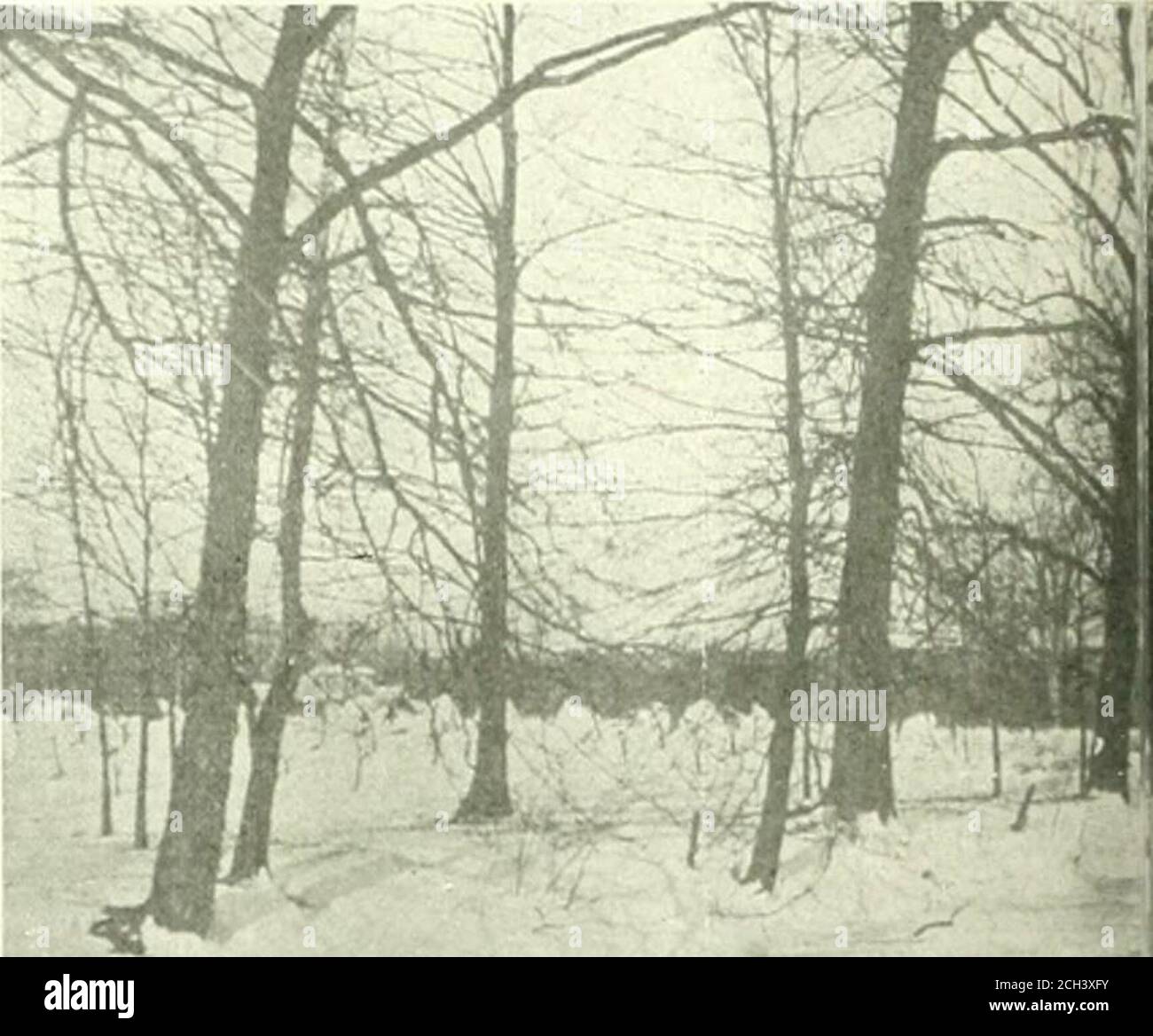 Treasured items hi-res stock photography and images - Alamy