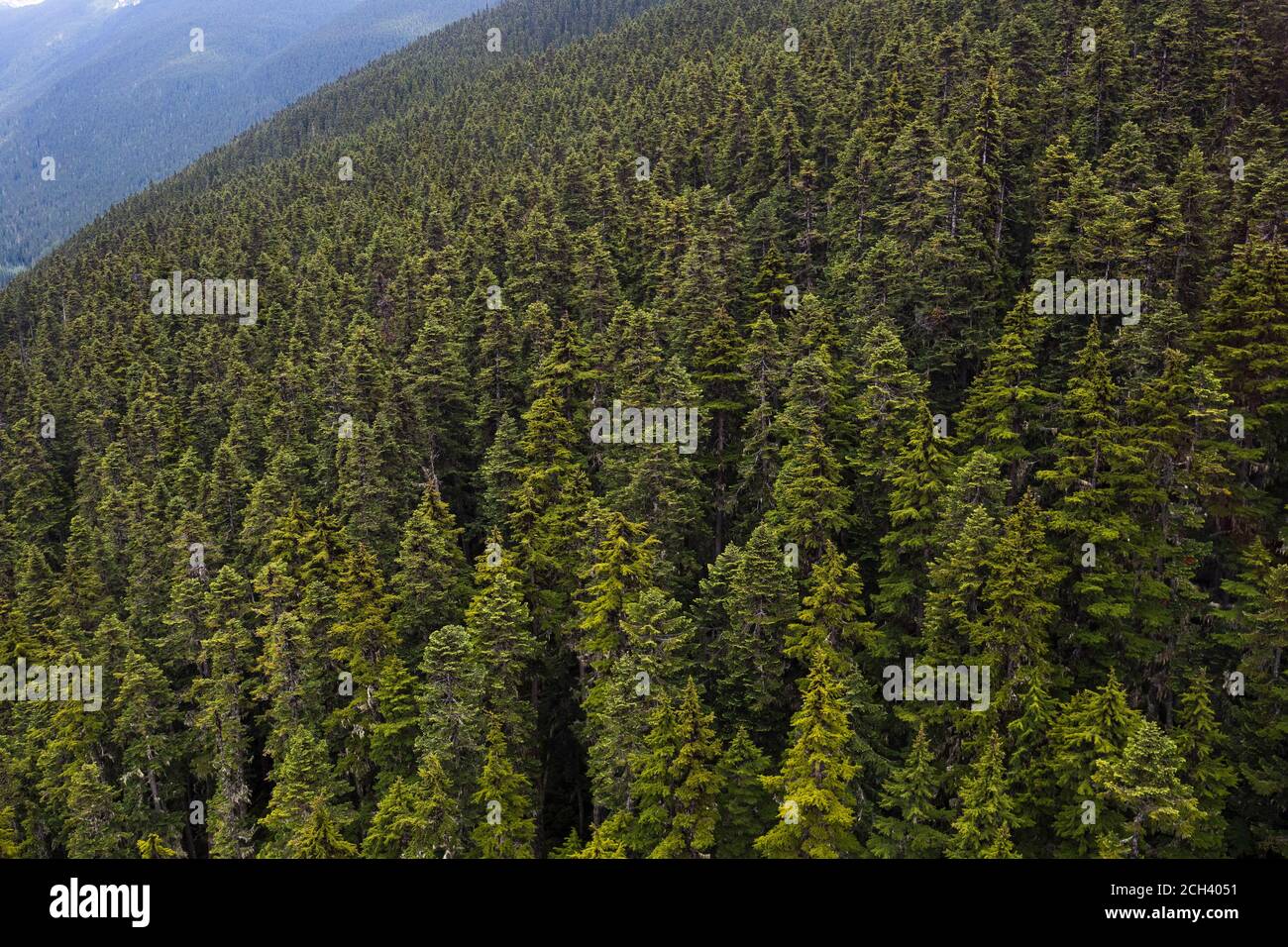 Aerial forest on mountain slope hi-res stock photography and images - Alamy