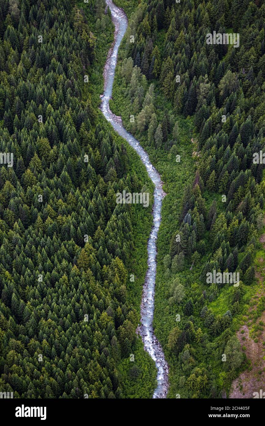 River flowing through green forest Stock Photo - Alamy