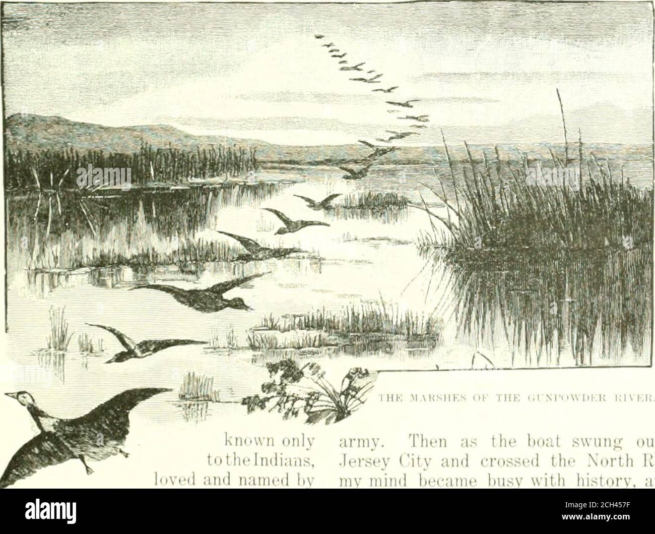 Book royal blue one hi-res stock photography and images - Alamy