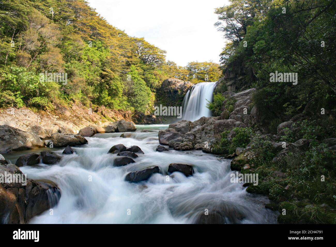 Tawhai falls hi-res stock photography and images - Alamy