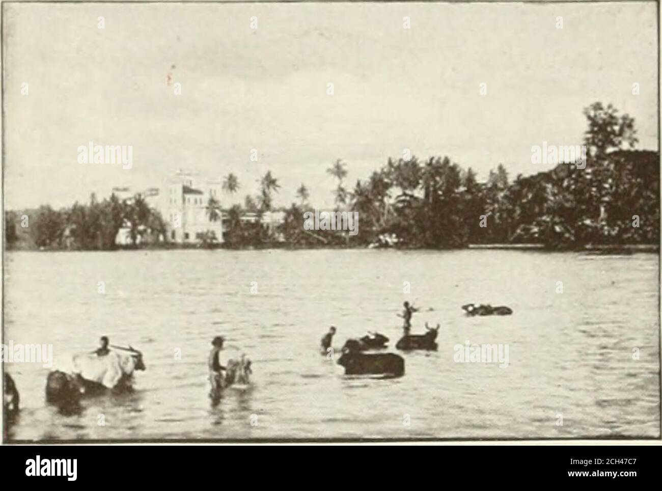 . The book of Ceylon; being a guide to its railway system and an ...